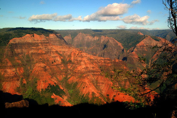 Red Rocks Waimea Canyon Kauai – Hawaiipictures.com