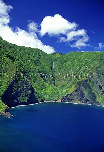 Aerial view of cliffs on north shore of Molokai, Hawaii Picture ...